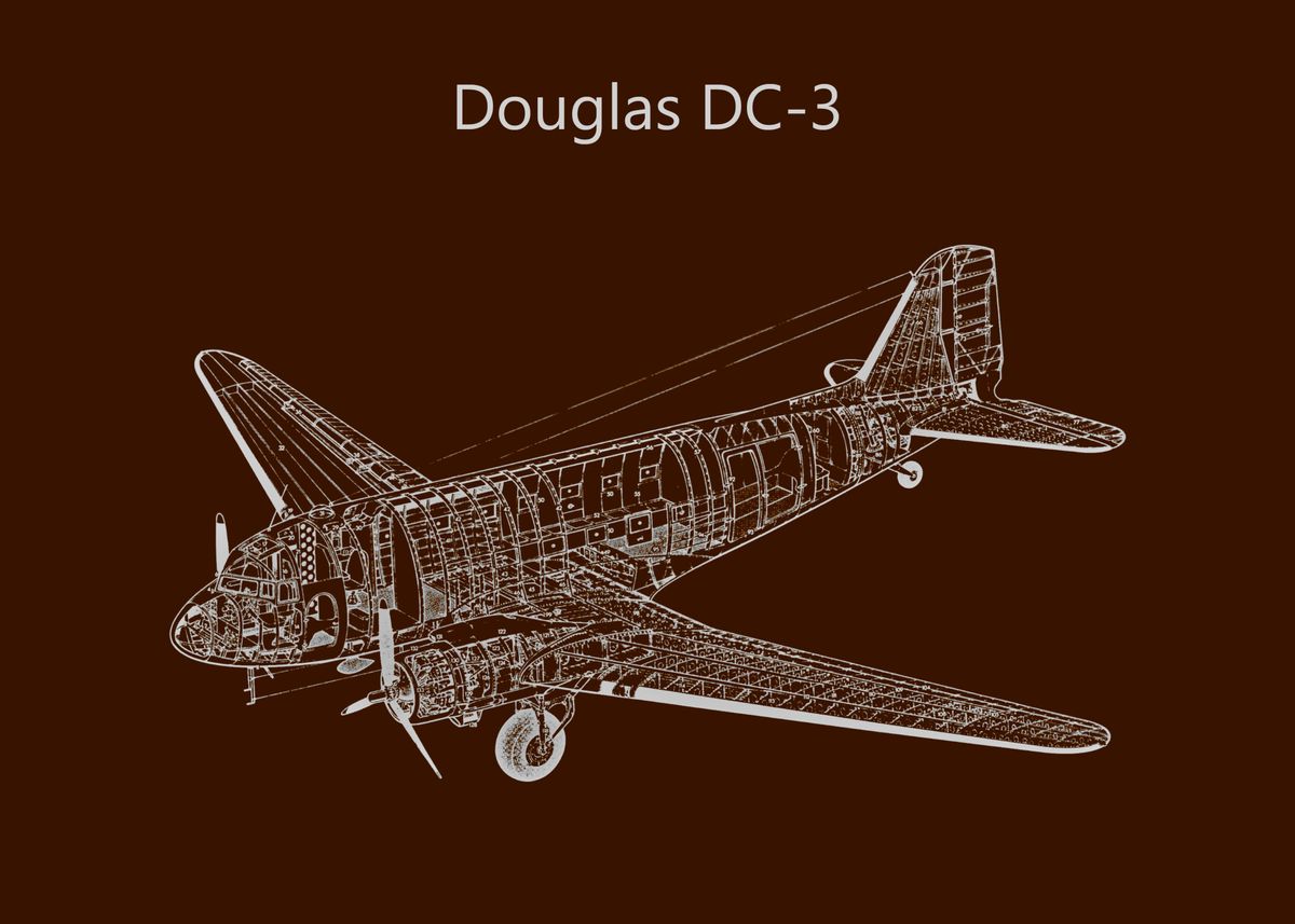 'Douglas DC3 ' Poster, picture, metal print, paint by Amazing Artist ...