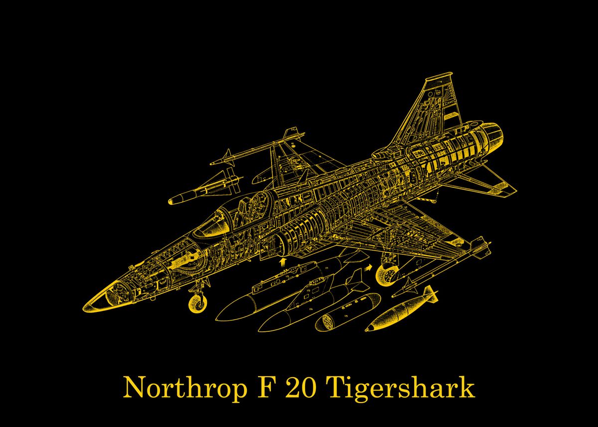 'Northrop F 20 Tigershark ' Poster, picture, metal print, paint by Eng Hadoool | Displate