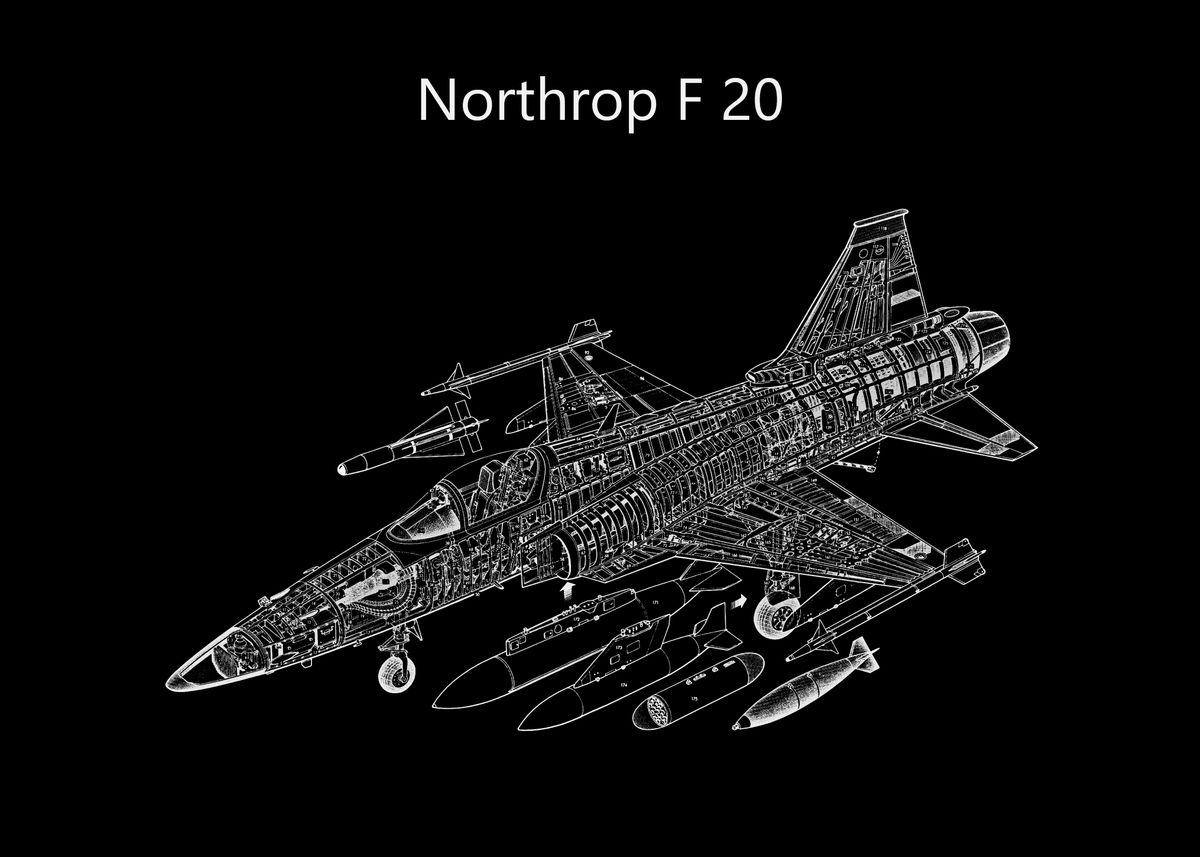 'Northrop F 20 ' Poster, picture, metal print, paint by Number Nine | Displate