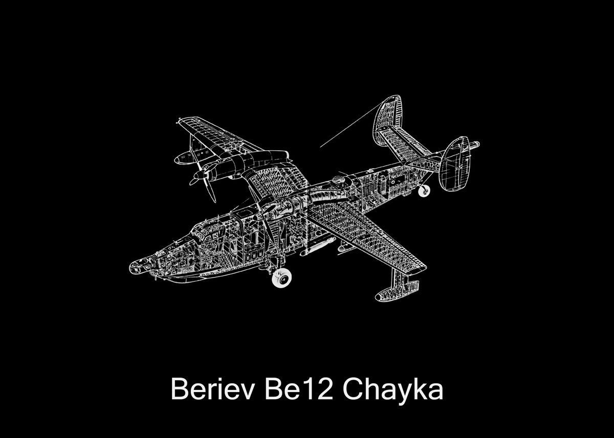 'Beriev Be12 Chayka ' Poster, picture, metal print, paint by Spring ...