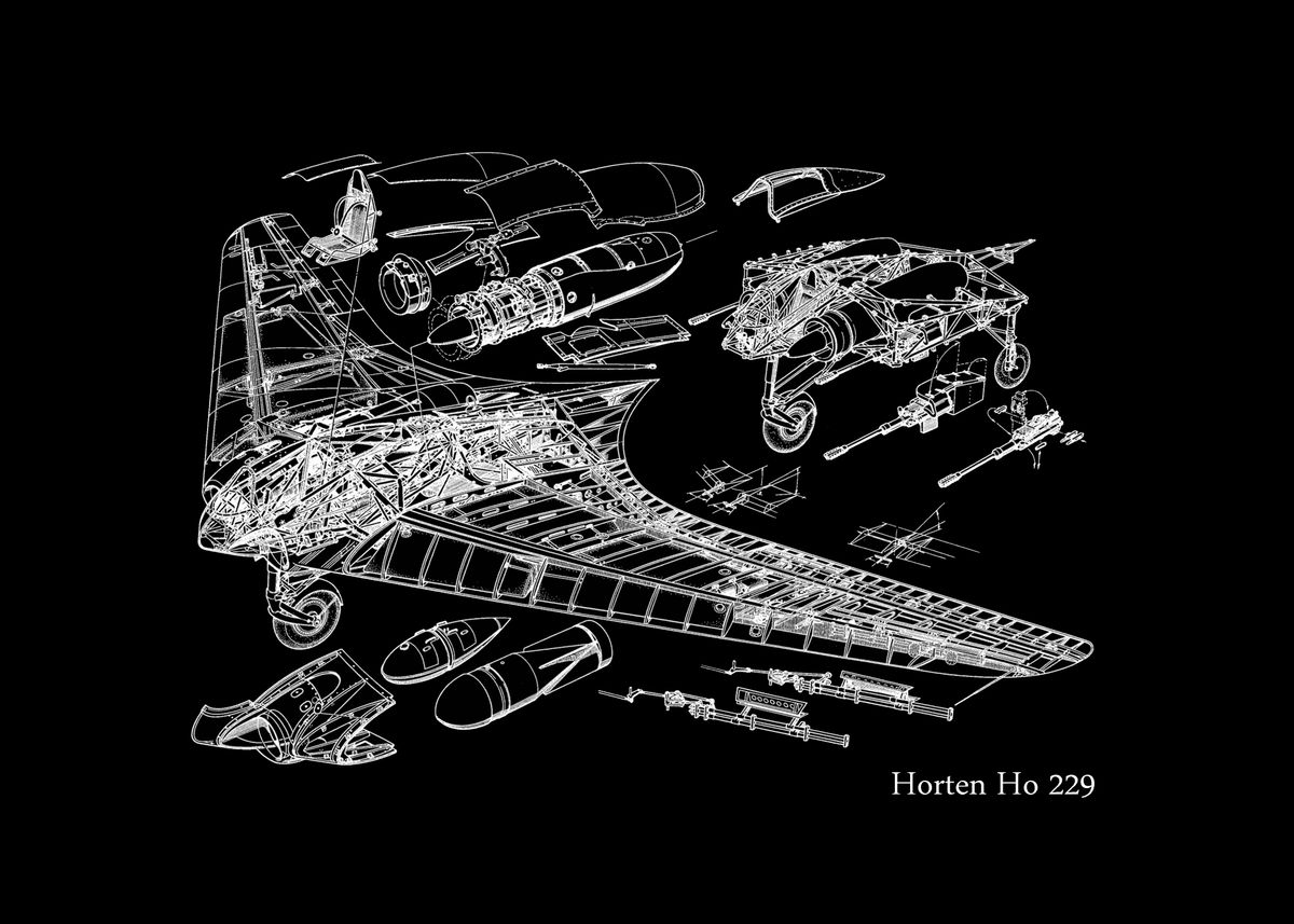 'Horten Ho 229' Poster, picture, metal print, paint by Mod Yof | Displate
