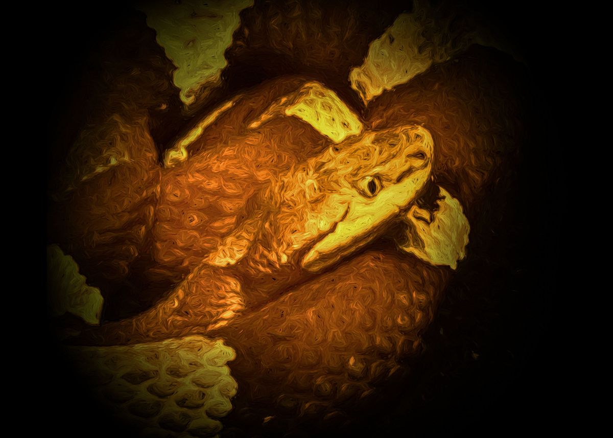 'Copperhead snake 2' Poster, picture, metal print, paint by Gyula ...