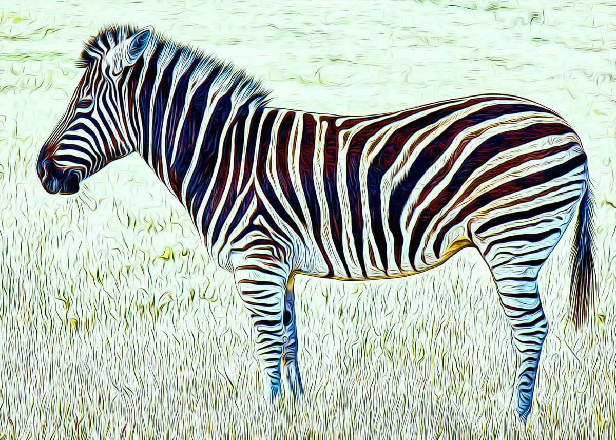 'Zebra' Poster by Tiker Arts | Displate