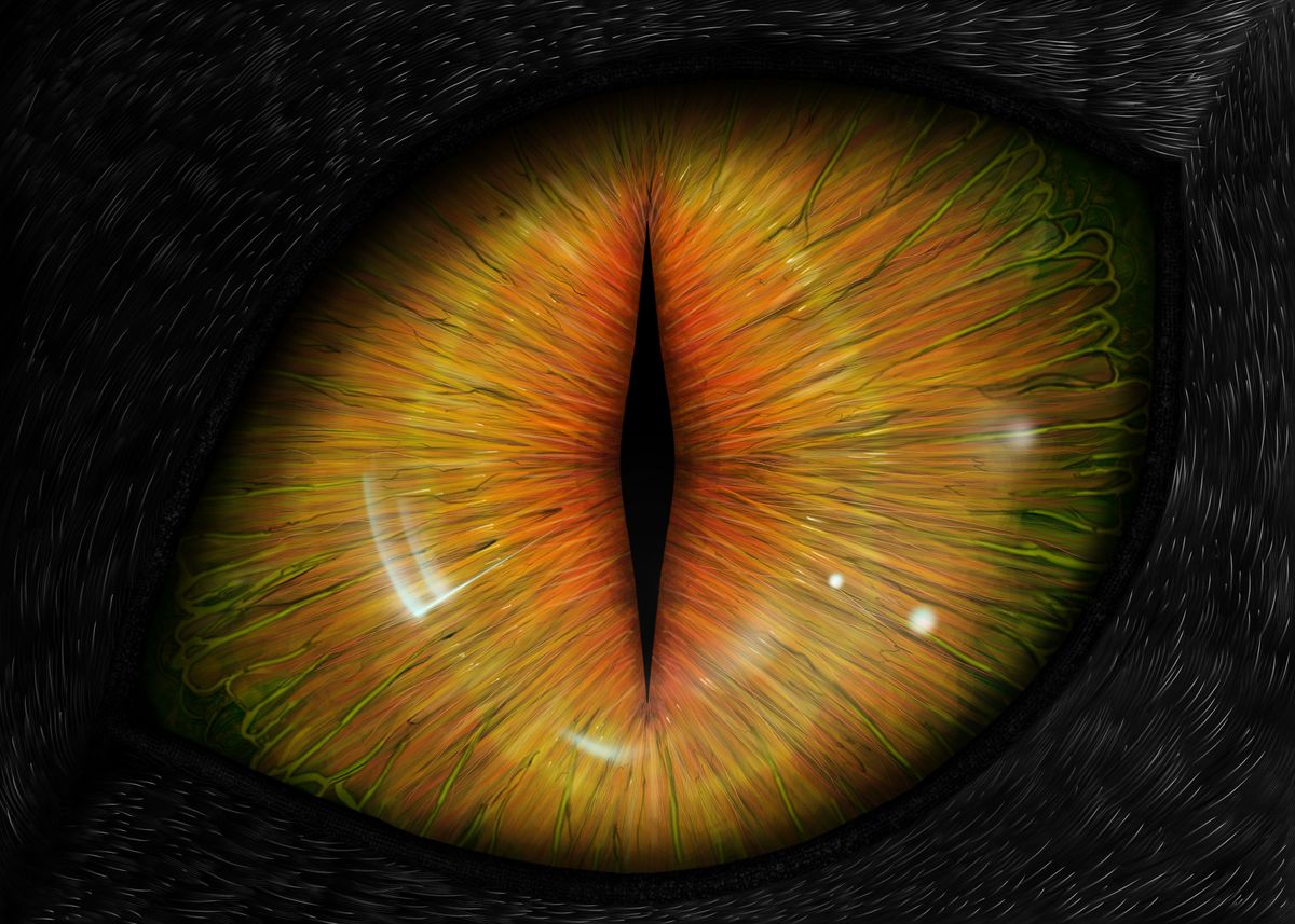 'Cateye' Poster by NoNNee | Displate