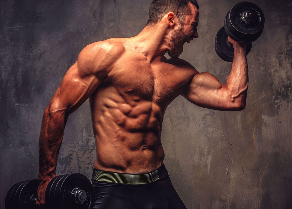 'Gym Bodybuilding Sport 59' Poster, picture, metal print, paint by ...