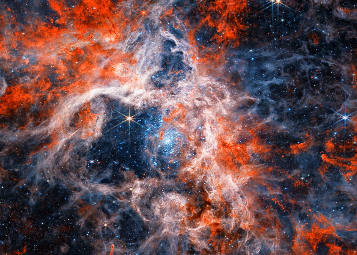 'Tarantula Nebula' Poster, picture, metal print, paint by Mango Art | Displate
