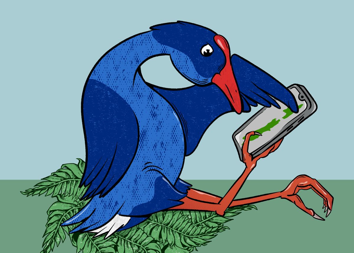 'Pukeko using a smart phone' Poster, picture, metal print, paint by ...