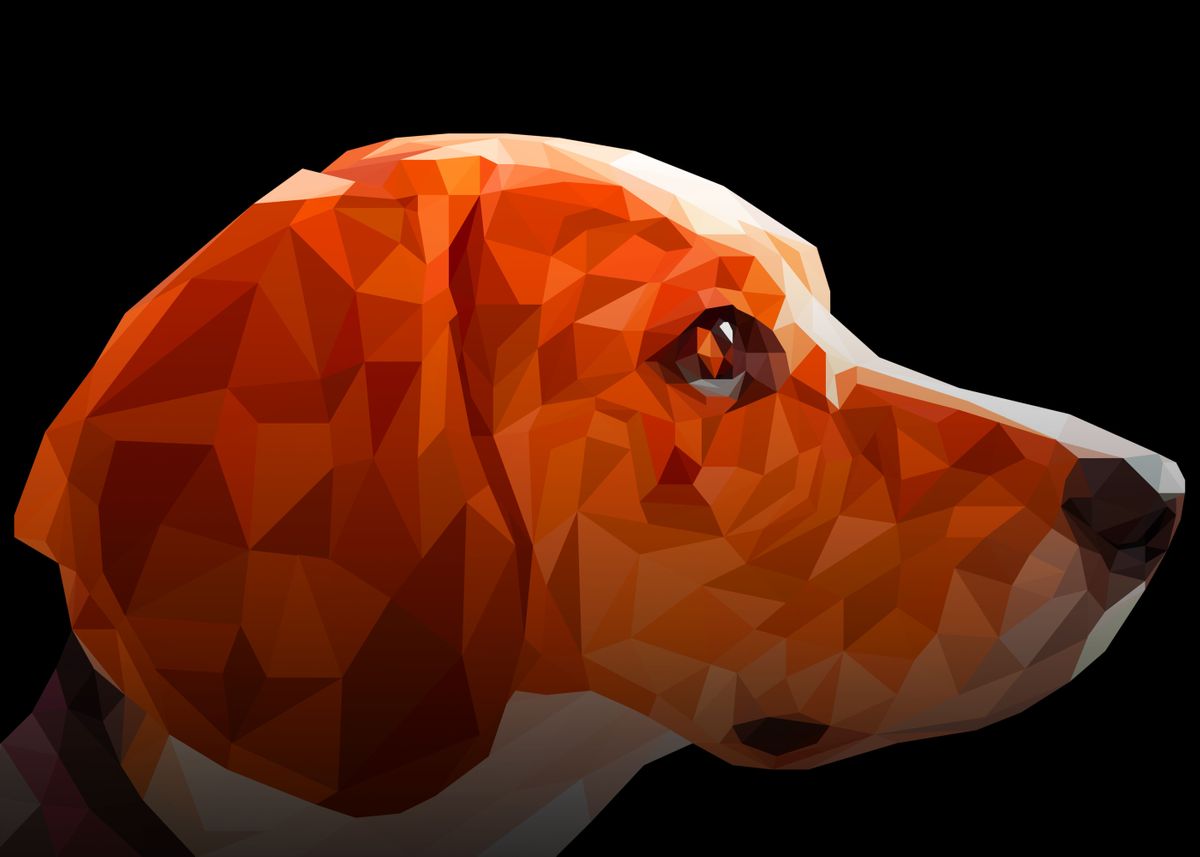 'Beagle' Poster by dung nguyen | Displate