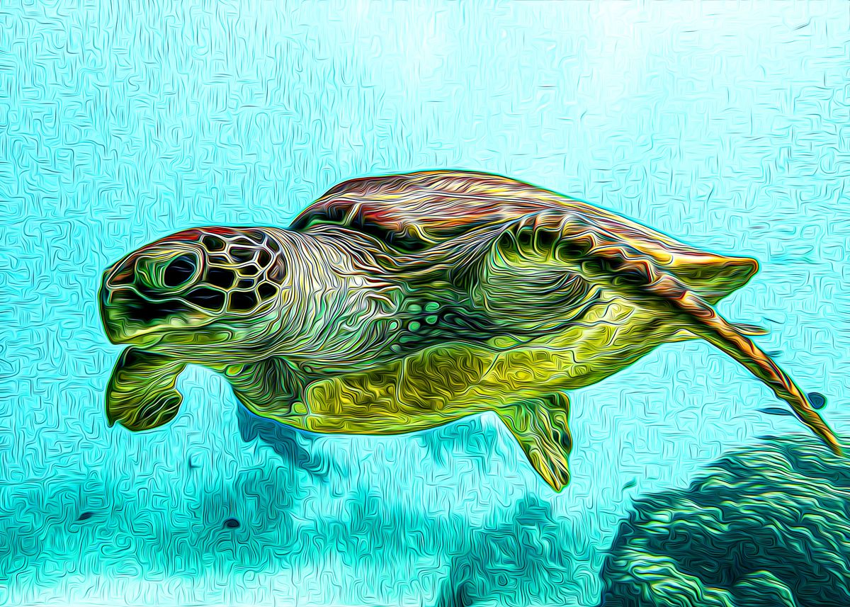 'Turtle' Poster, picture, metal print, paint by Tiker Arts | Displate