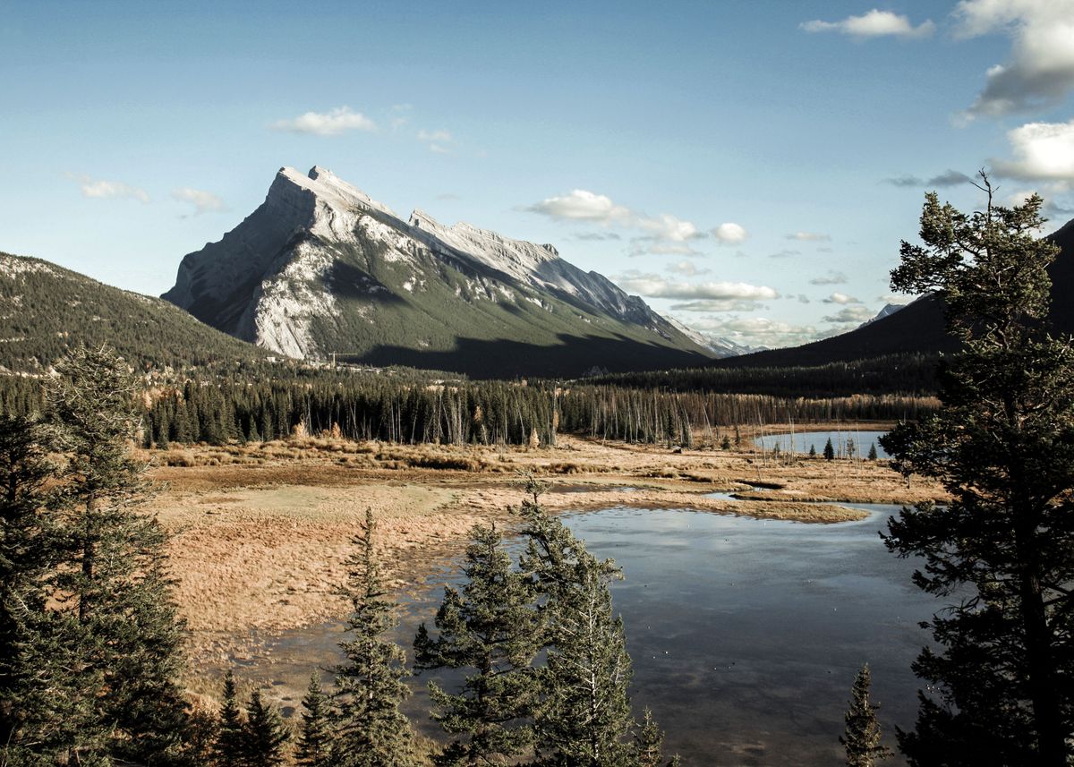 'Mount Rundle ' Poster, picture, metal print, paint by Long Journeys ...