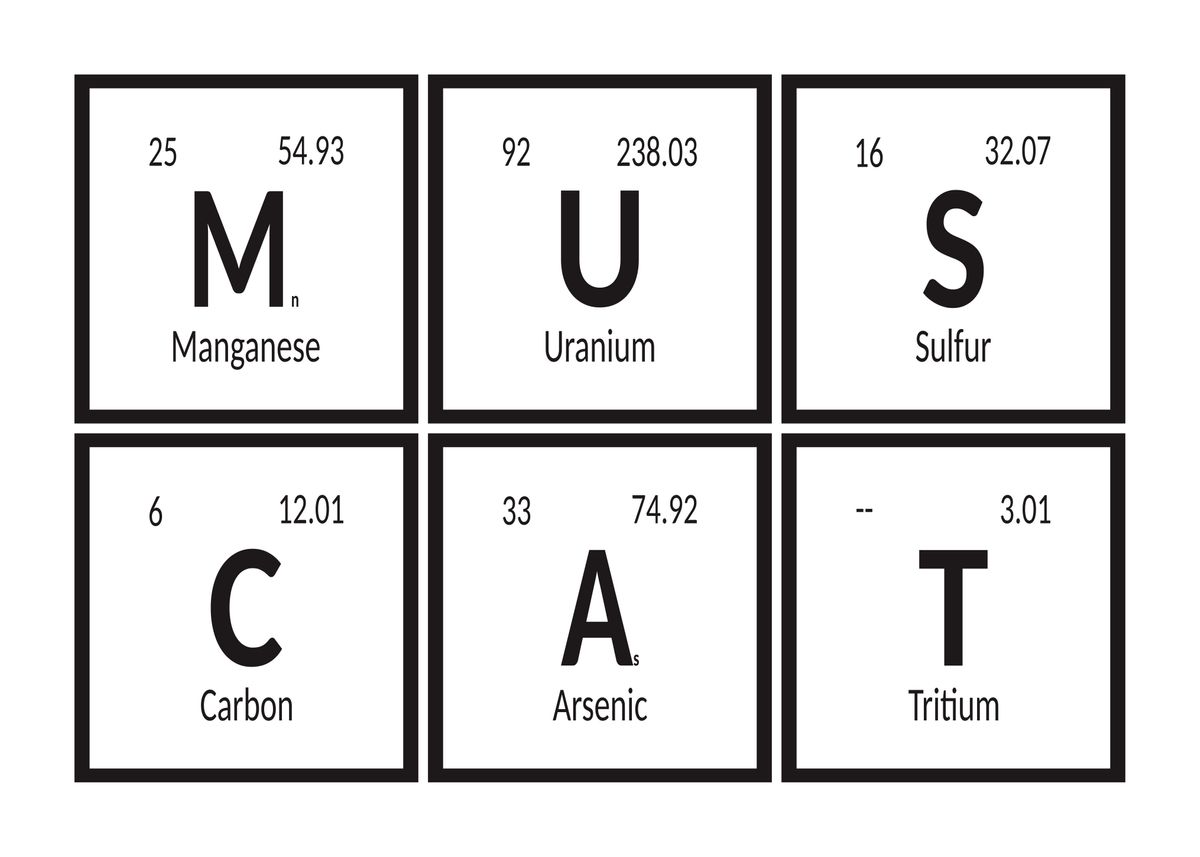 'Muscat City' Poster, picture, metal print, paint by Maozva | Displate