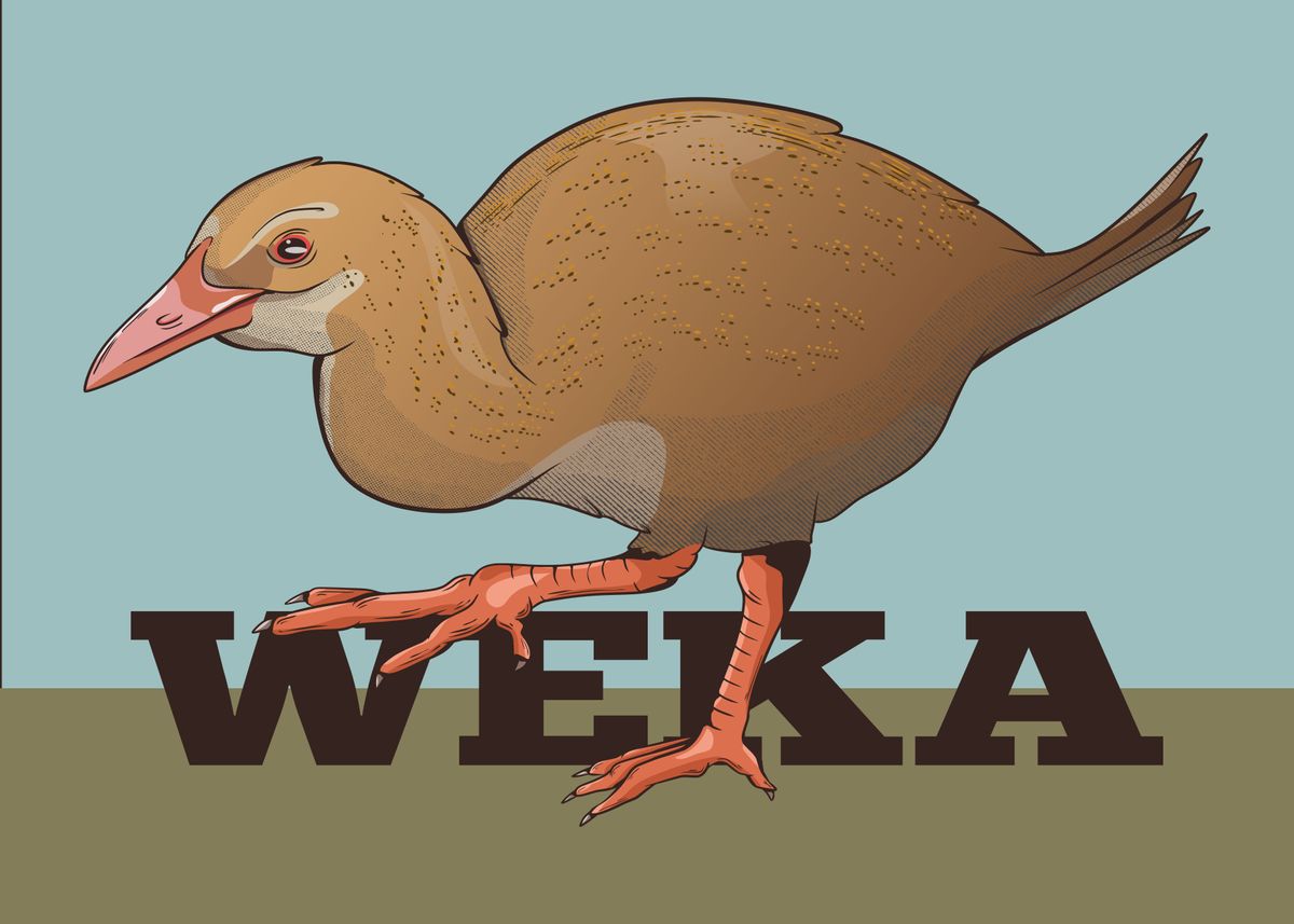 'Weka NZ bird' Poster, picture, metal print, paint by mailbox disco ...