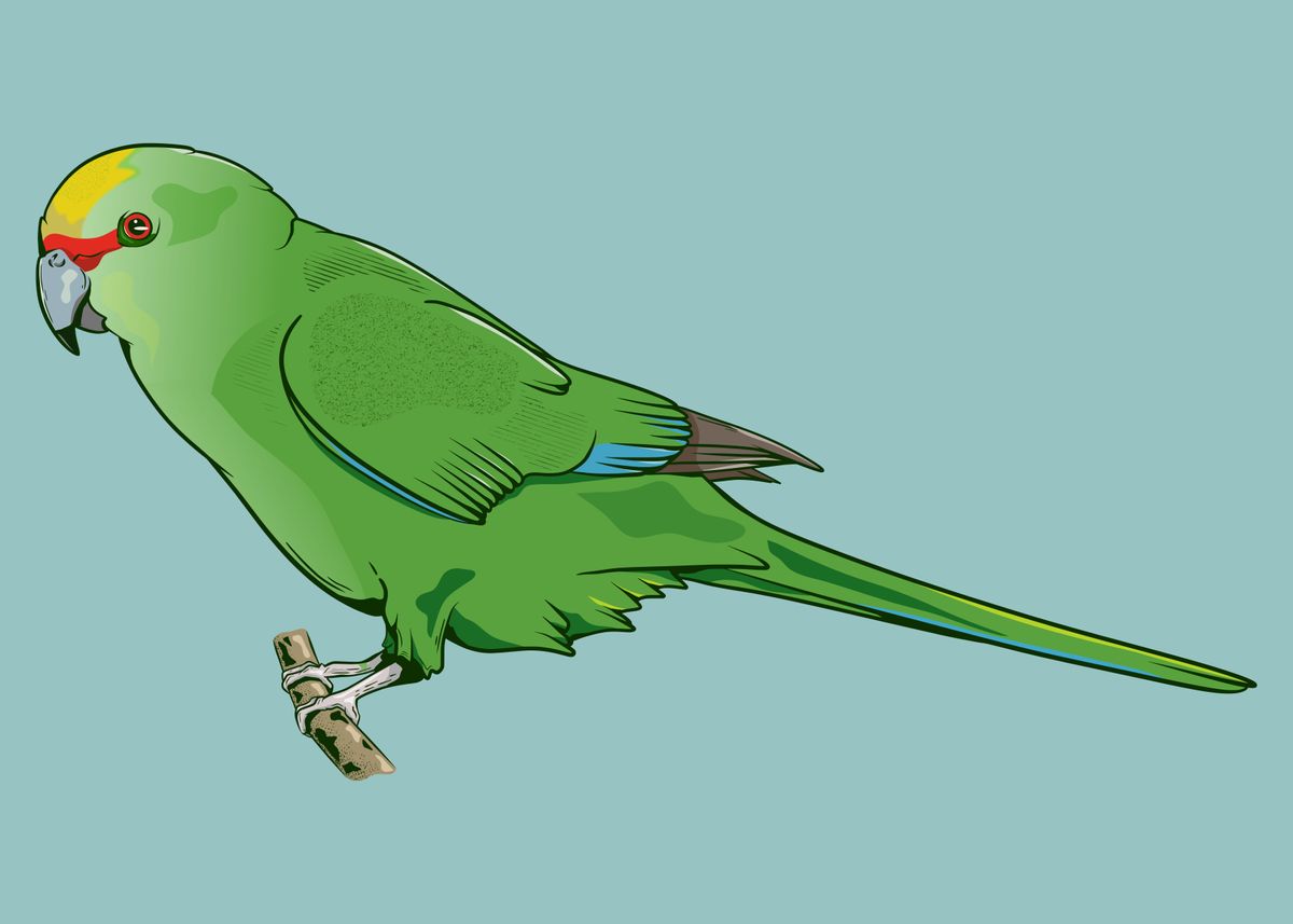 'Yellow crowned parakeet' Poster, picture, metal print, paint by ...