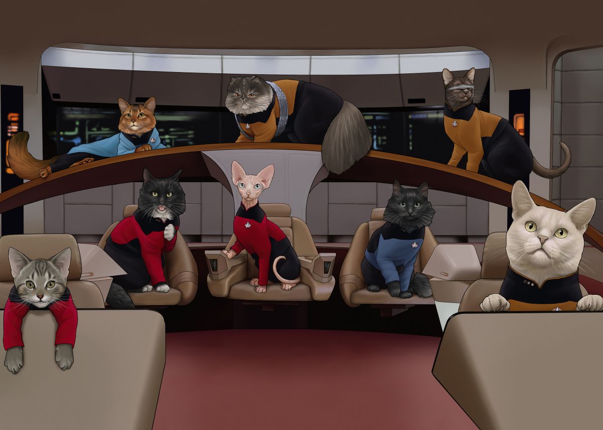 'Next Generation Cat Crew' Poster, picture, metal print, paint by Star ...