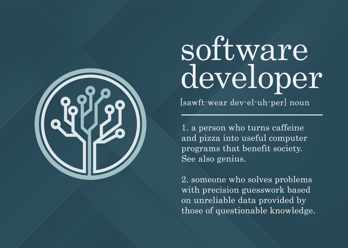 'Funny Software Developer' Poster by 84PixelDesign | Displate