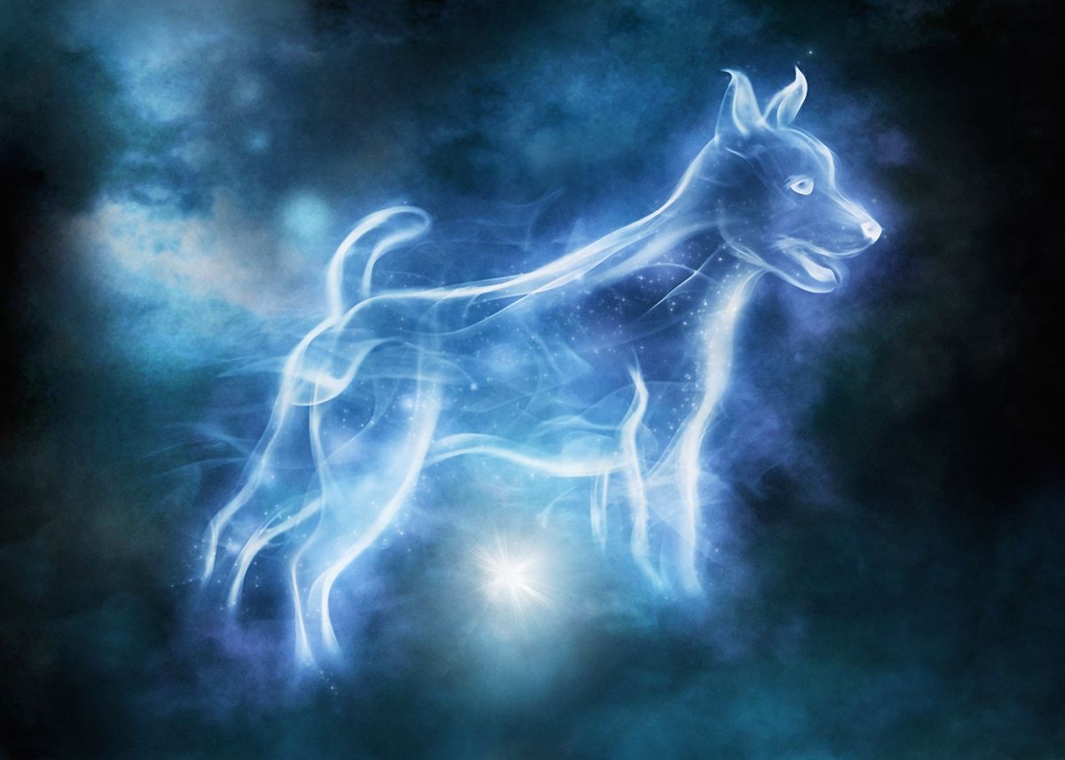 'Dog Patronus' Poster, picture, metal print, paint by Wizarding World ...