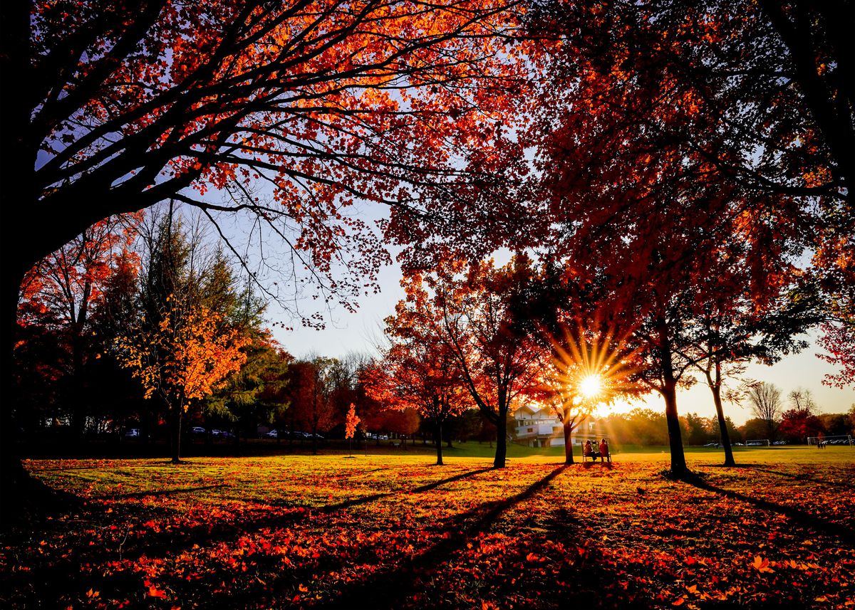 'Mid Autumn Sunset' Poster, picture, metal print, paint by Archie ...