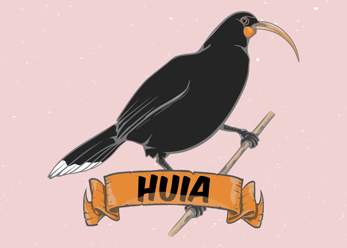 'Huia New Zealand Bird' Poster, picture, metal print, paint by mailbox ...
