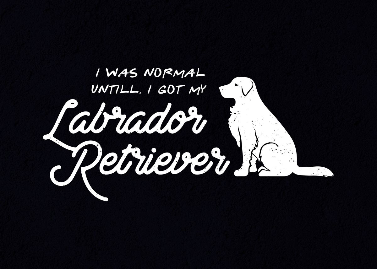 'Labrador Retriever' Poster, picture, metal print, paint by Uber ...