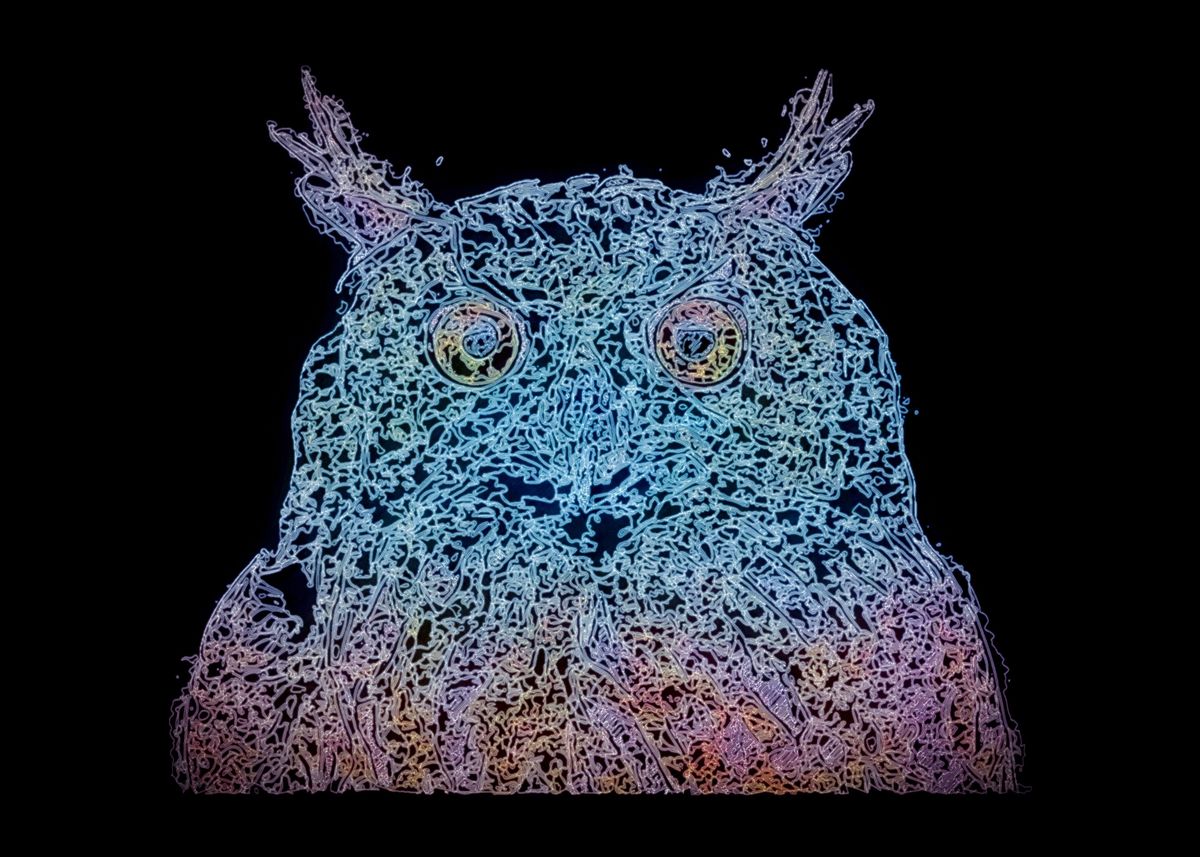 'Owl ' Poster by ad yosef | Displate