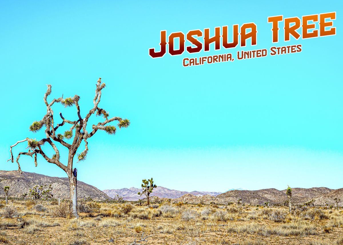 'Joshua Tree National Park' Poster, picture, metal print, paint by ...