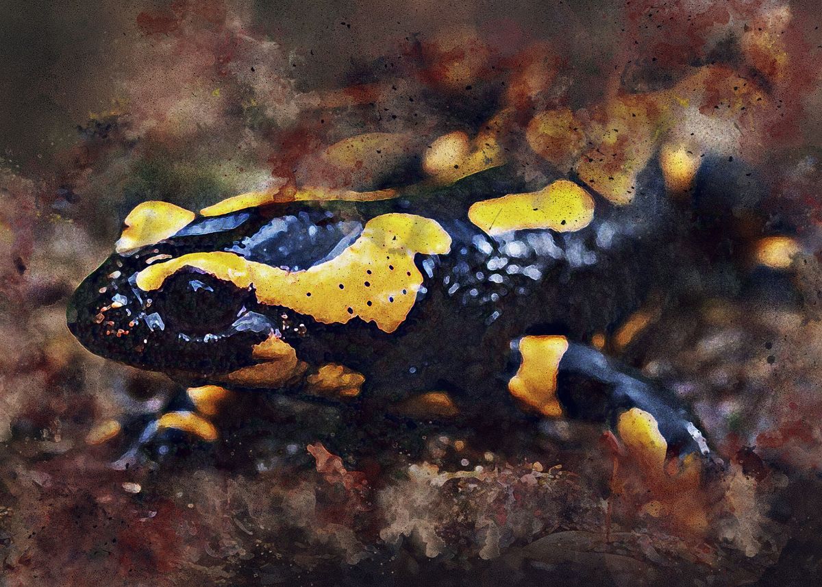 'the amphibian' Poster, picture, metal print, paint by PENGDUA XYZ ...