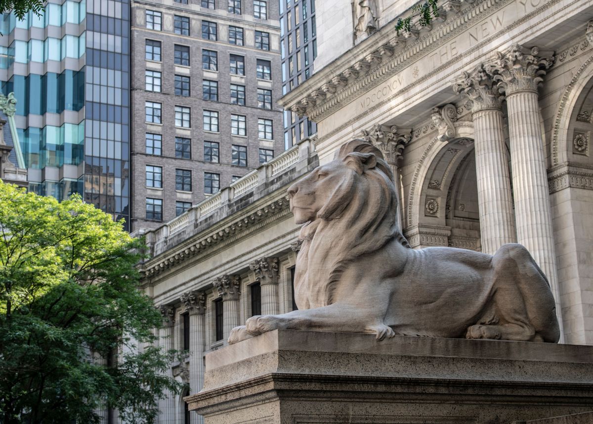 'public library lion statue' Poster, picture, metal print, paint by ...