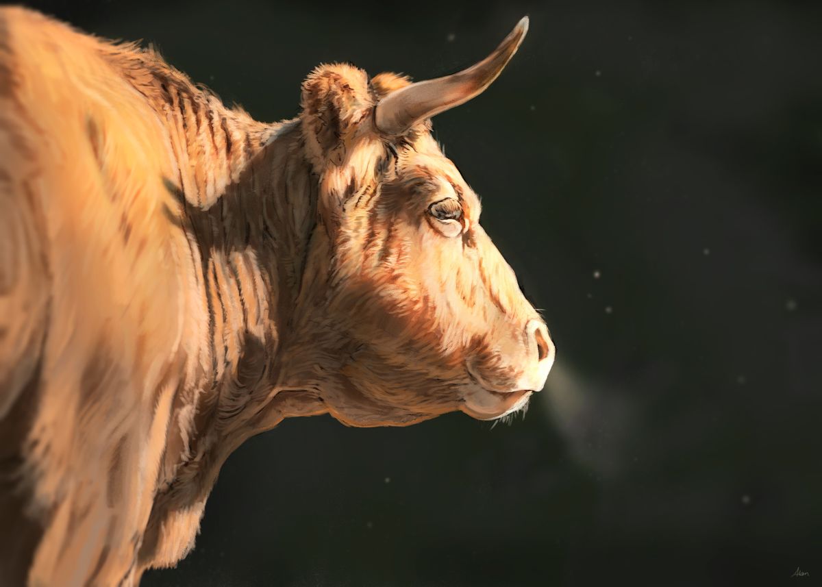 'Betizu Cattle' Poster by alandodrawing | Displate