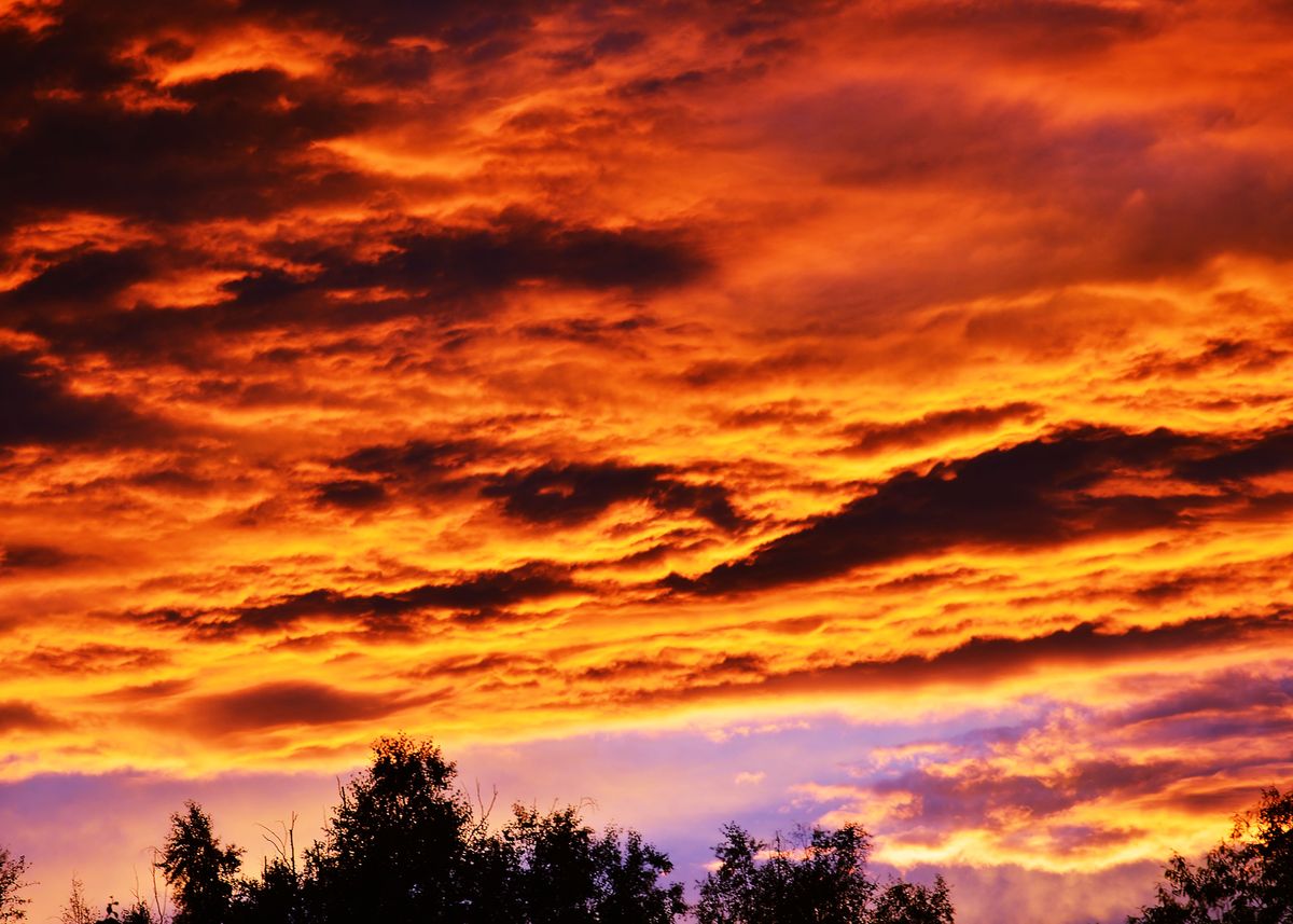 'Summer fiery sunset' Poster by Nadezhda Galimova | Displate