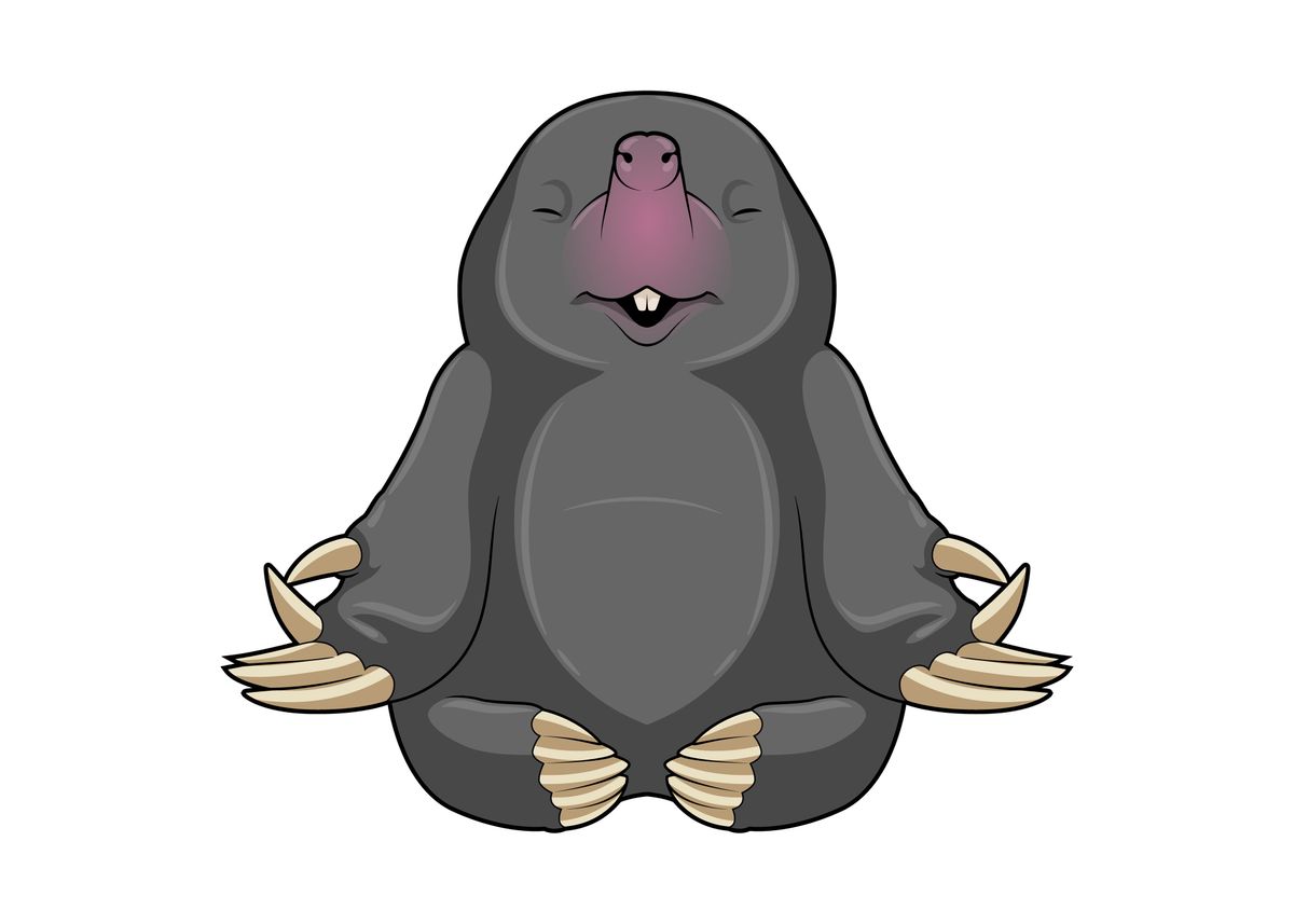 'Mole Yoga Meditation' Poster, picture, metal print, paint by Markus ...