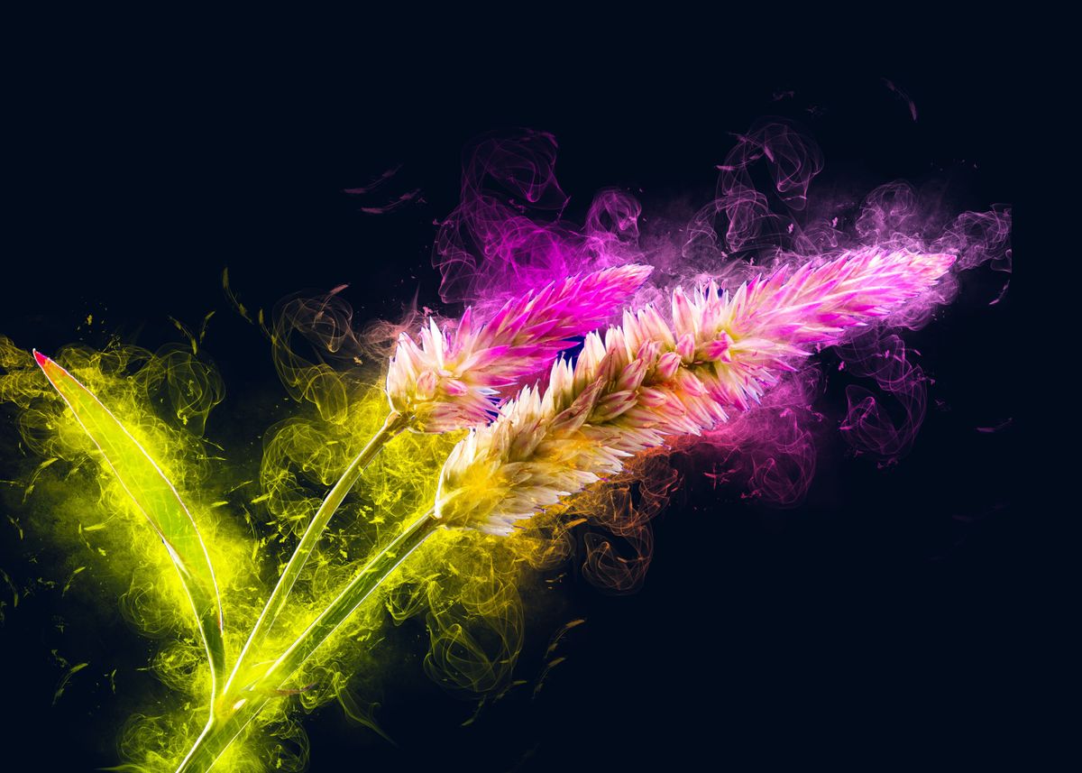 'smoke flower' Poster by TheGolden Hand | Displate