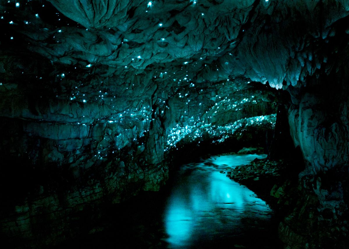 'Waitomo caves New Zealand' Poster, picture, metal print, paint by ...