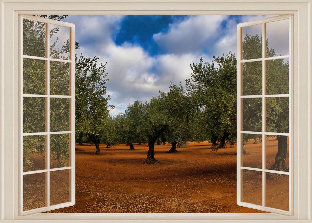'Open window olives view' Poster, picture, metal print, paint by Vicen ...