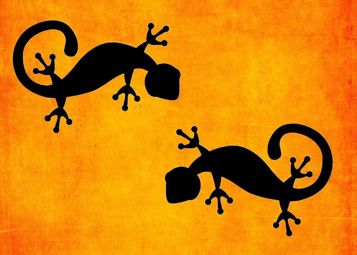 'SALAMANDER twin' Poster by PENGDUA XYZ | Displate