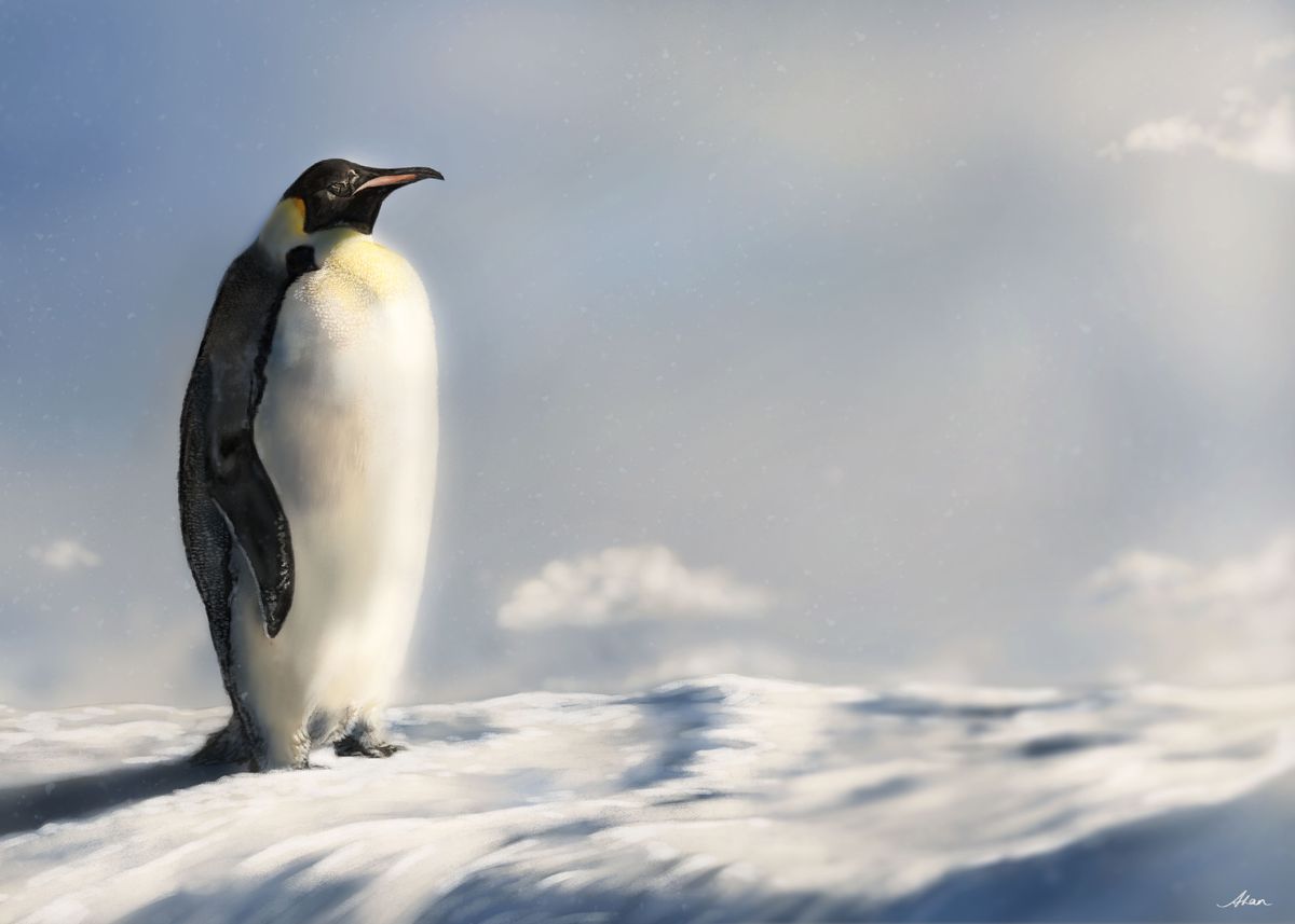 'Emperor Penguin' Poster, picture, metal print, paint by alandodrawing ...