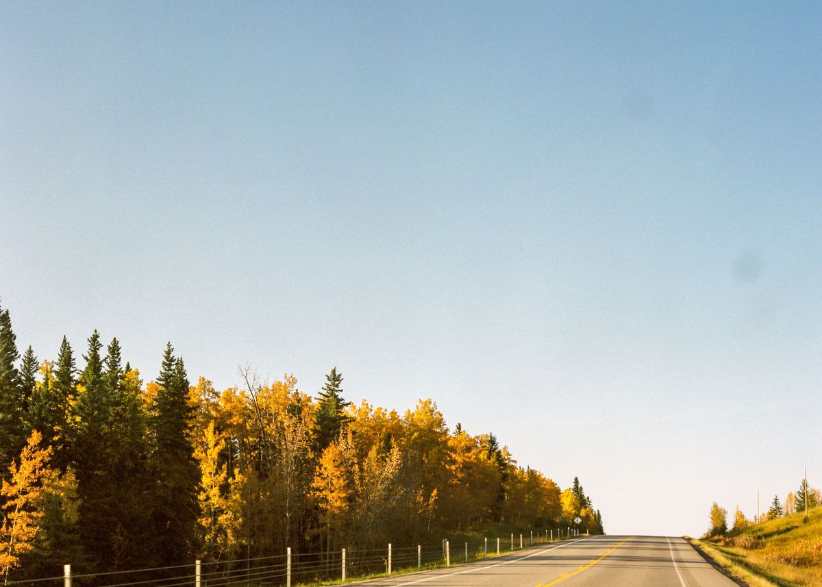 'Country Road' Poster by CeJay | Displate