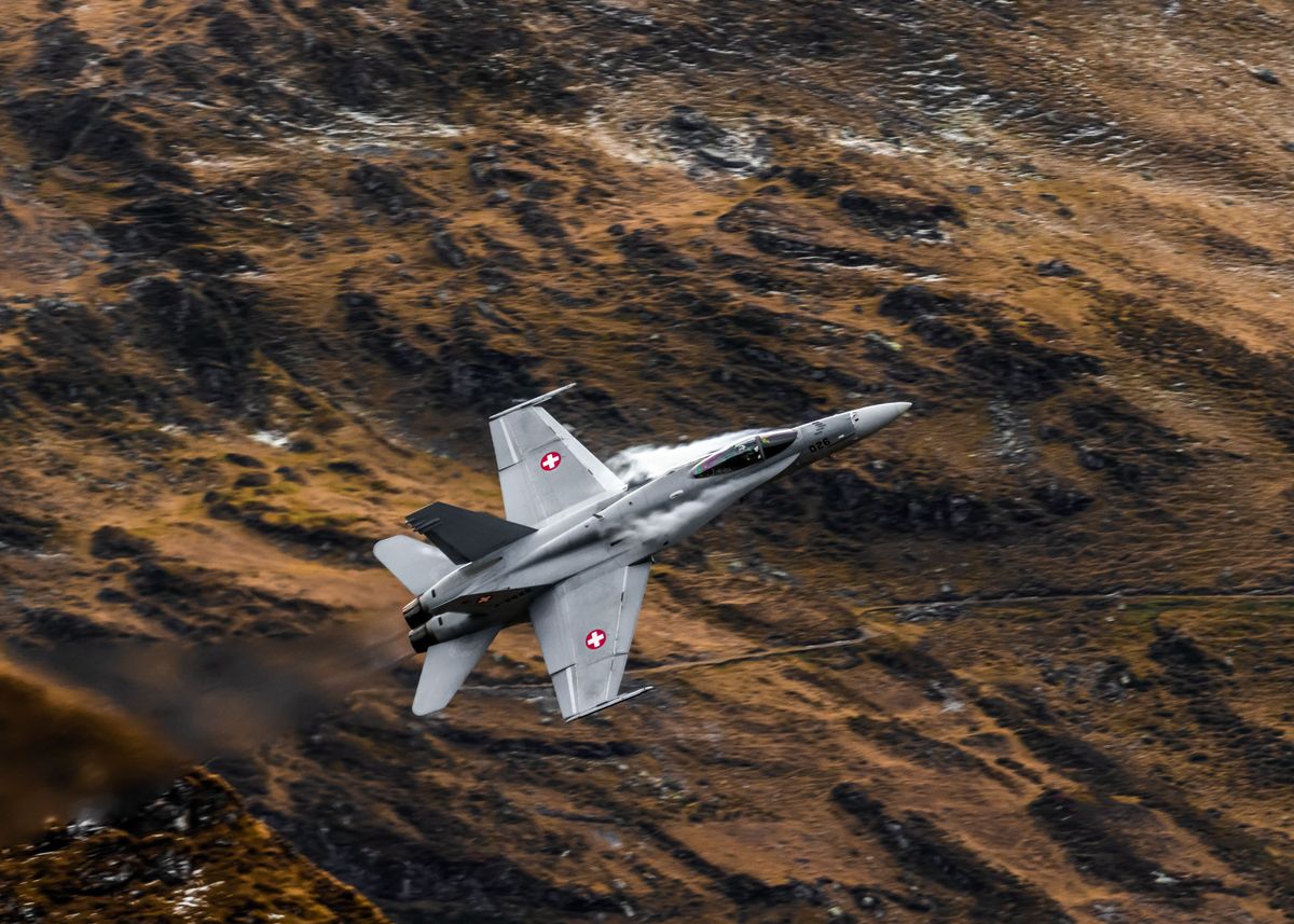 'Autumn F18' Poster, picture, metal print, paint by Nicolas Monod ...