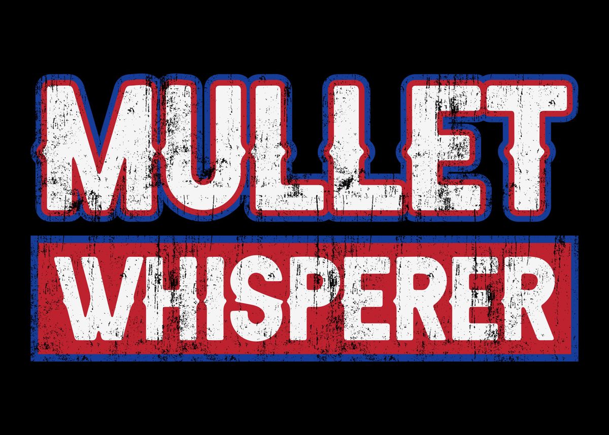 'Mullet' Poster, picture, metal print, paint by CrazySquirrel | Displate