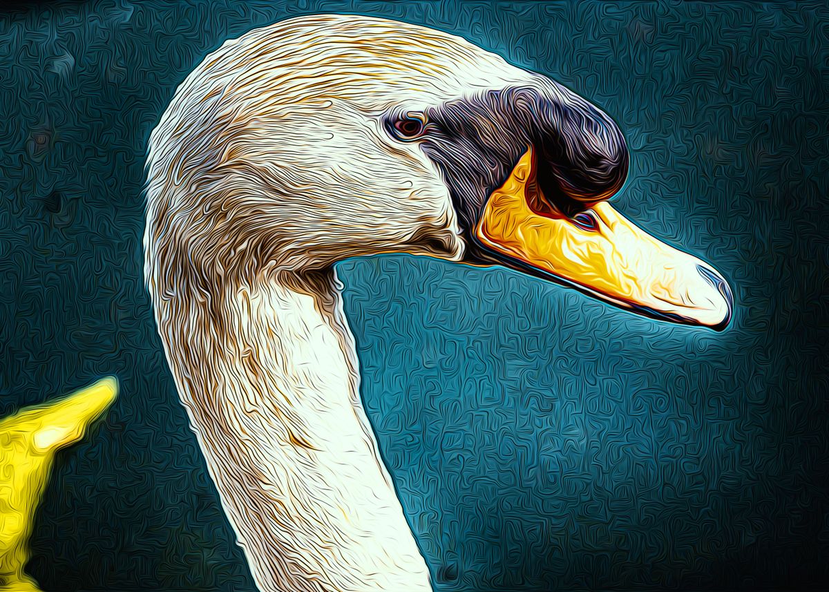 'Swan' Poster by Tiker Arts | Displate