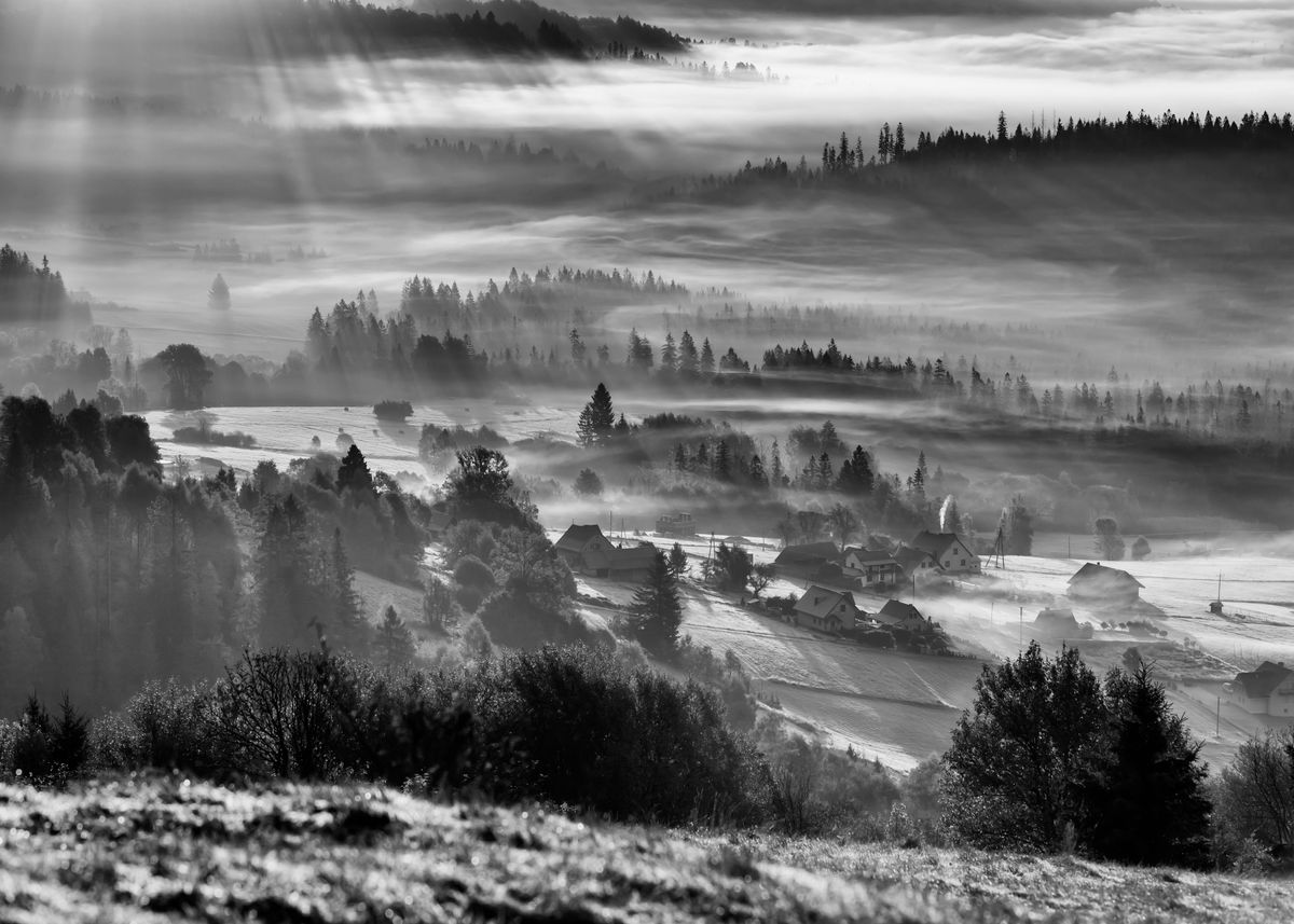 'B&W, mountains,autumn,fog' Poster, picture, metal print, paint by anettastar | Displate