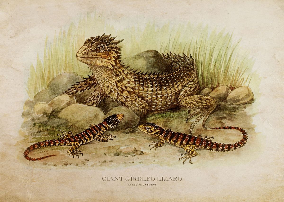 'Giant Girdled Lizard' Poster, picture, metal print, paint by Aged ...