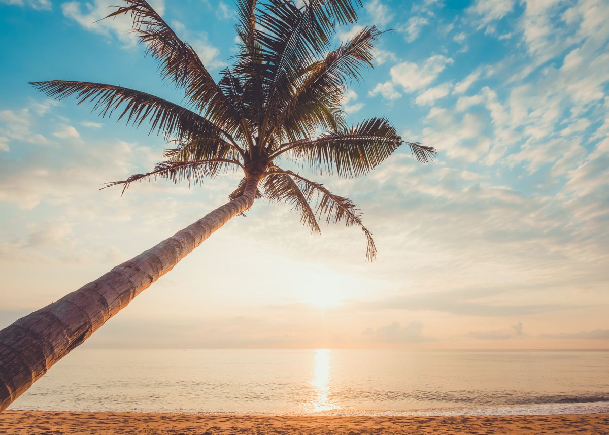 'ocean' Poster by Dark Phoenix | Displate