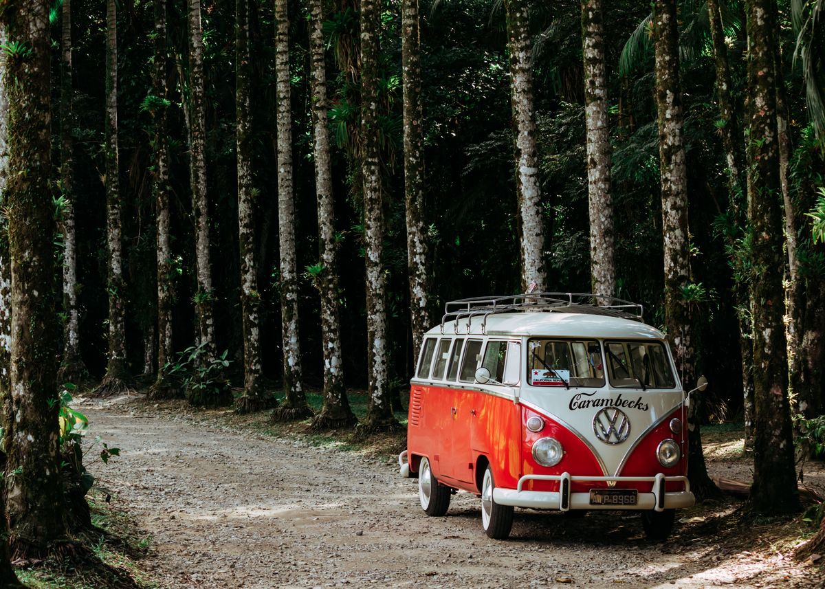 'classic van' Poster, picture, metal print, paint by Helinton ...