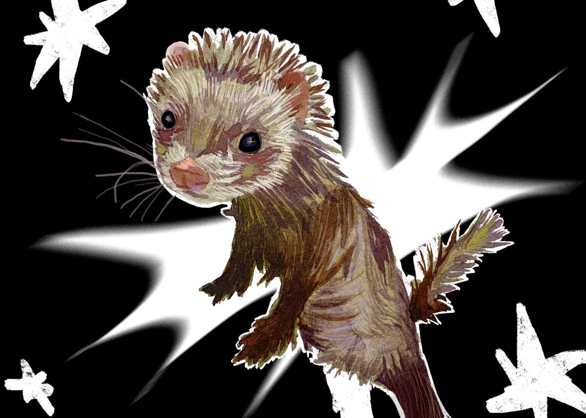 'Fuzzy Ferret' Poster, picture, metal print, paint by nevenasloth ...