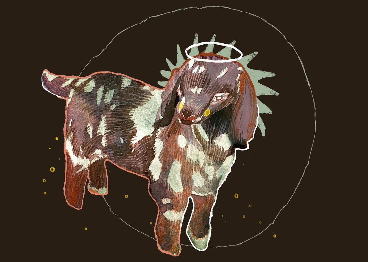 'Cute Angel Baby Goat' Poster, picture, metal print, paint by ...