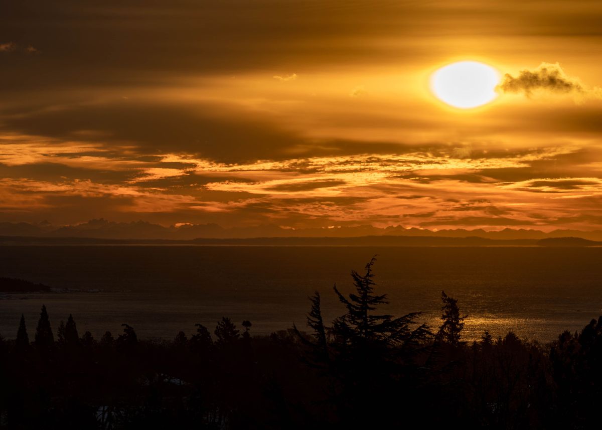 'Sunrise View' Poster, picture, metal print, paint by Tony Gouveia ...