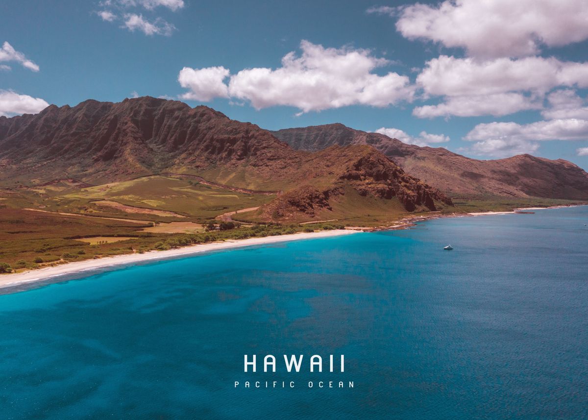 'Hawaii ' Poster, picture, metal print, paint by Travel Addict | Displate