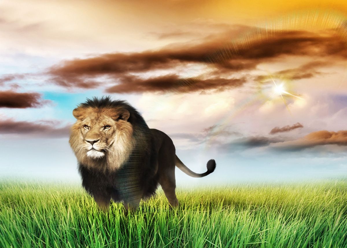 'Mystic Animal Pictures' Poster, picture, metal print, paint by Color ...