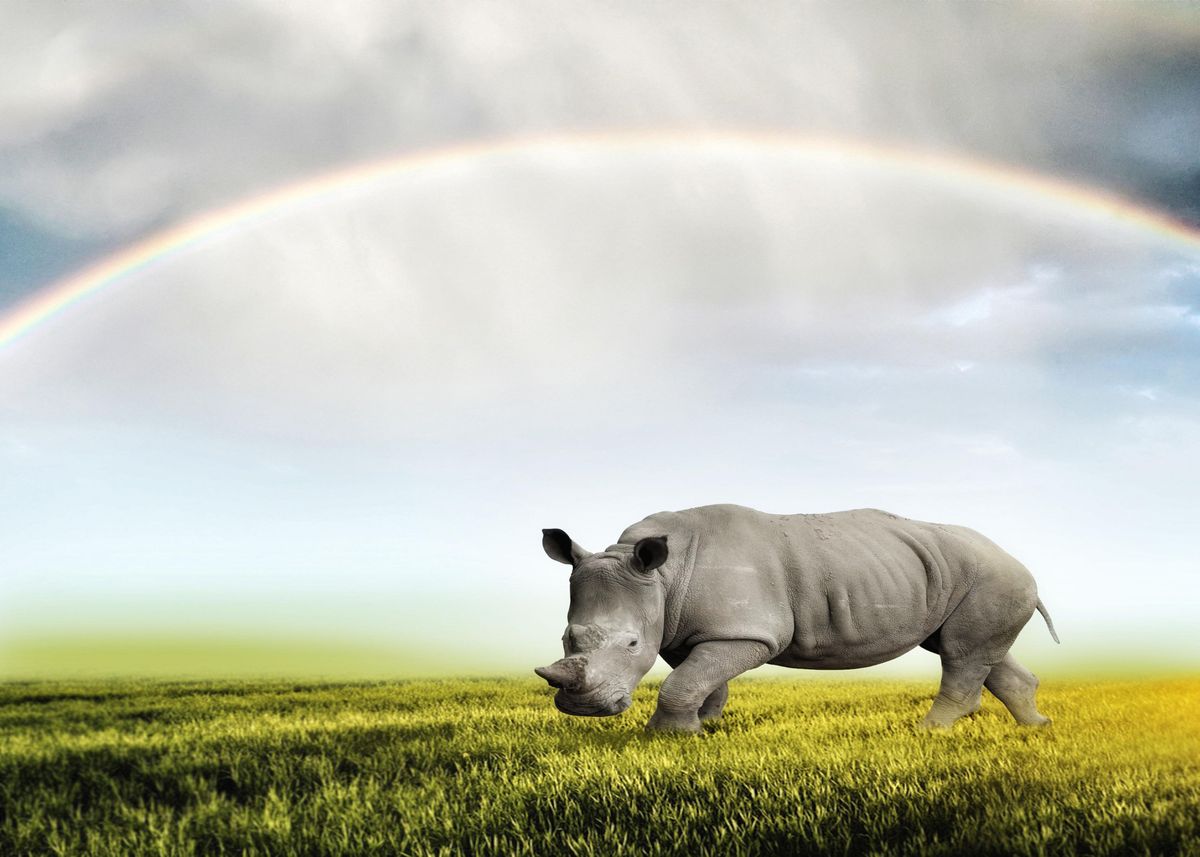 'Mystic Animal Pictures' Poster, picture, metal print, paint by Color ...