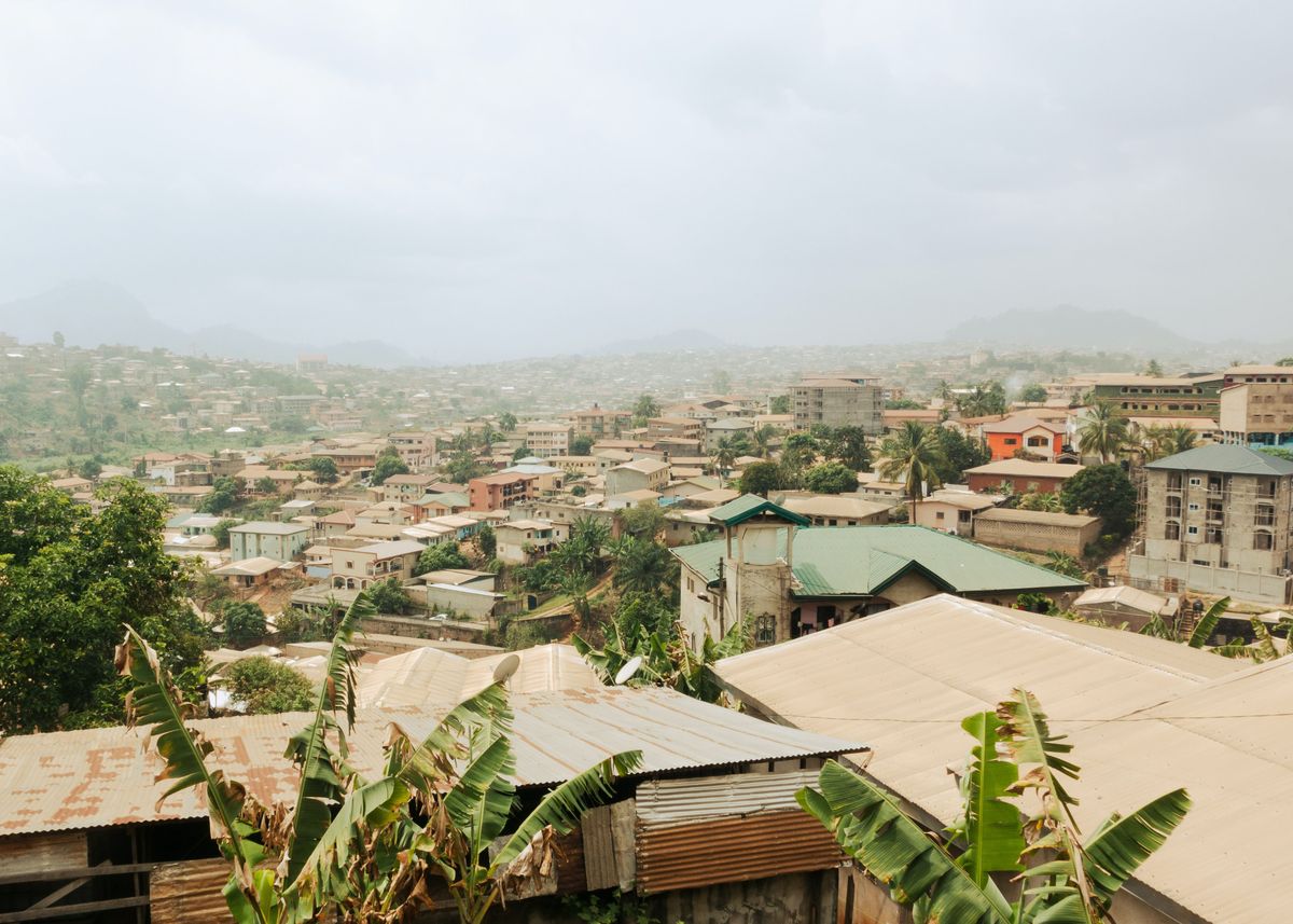 'Cameroon' Poster, picture, metal print, paint by Nicolas Pardoel ...